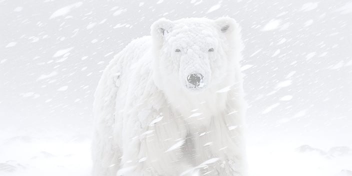 Best Synthetic Data Generation Tools for 2025