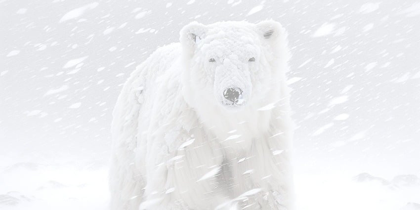 Data Masking Tools for SQL Server: What, Why, and How?